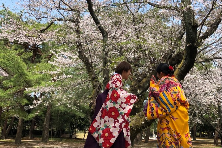 Focus on domestic diversity in Japan – The Fountain